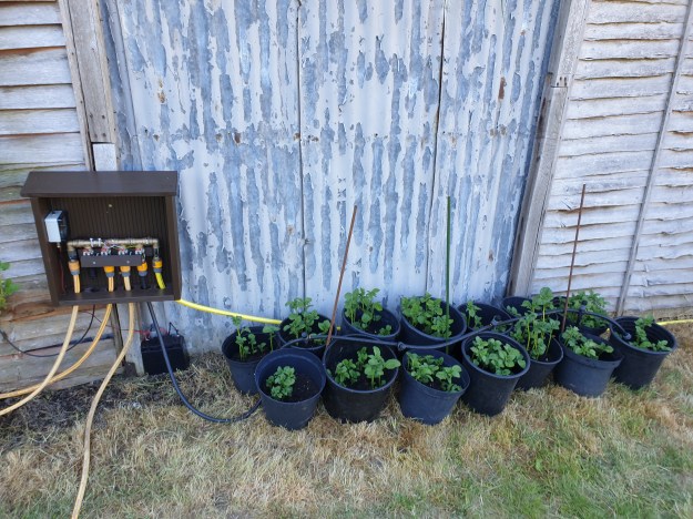 Home Automation – Automatic Garden Watering | Mostly Robots
